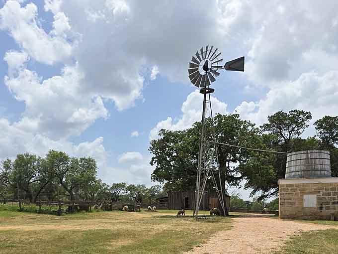 That windmill has been pulling its weight long before anyone invented a utility bill.