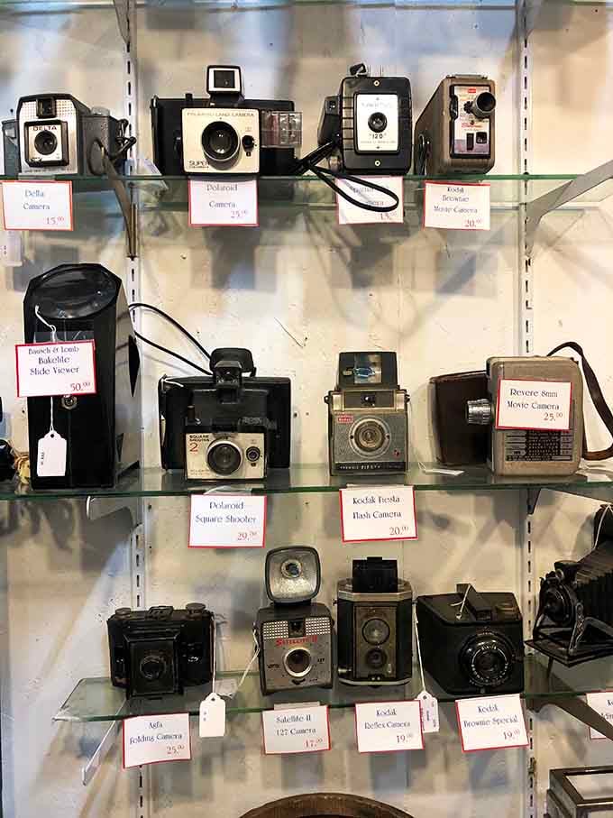 Polaroids, Kodak Brownies, and Bakelite slide viewers, a photographer's time machine hiding in plain sight.