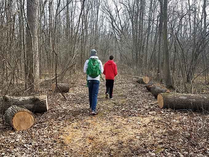 Two hikers disappear into the bare winter woods, flanked by freshly cut logs like natural gateposts.