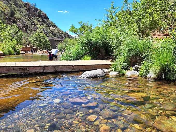 Crystal-clear water over smooth river stones, the kind of scene that makes you forget your phone exists.