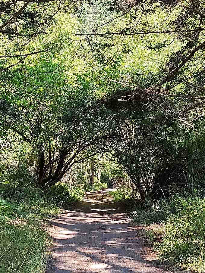 This trail promises the kind of peaceful walk where your biggest decision is which bird song to listen to.