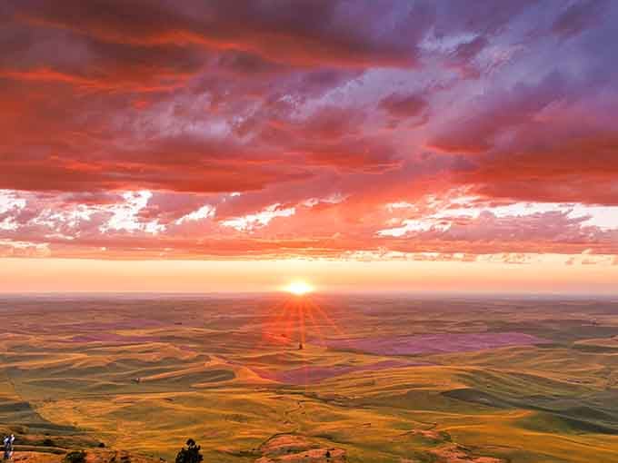 Sunset from the summit turns the landscape into liquid gold, better than any filter your phone could create.