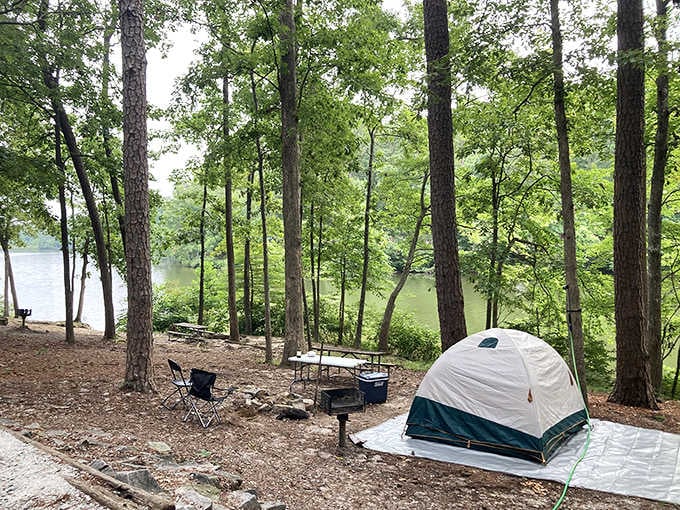 Pitch your tent with a lake view that makes you wonder why hotels even bother trying anymore.