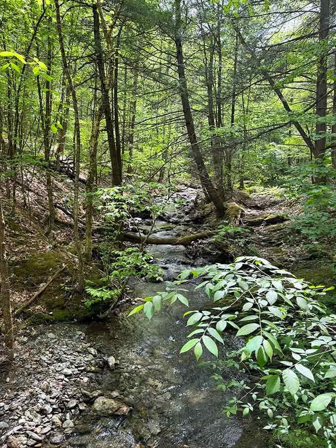 This babbling brook speaks fluent relaxation, and it's offering free lessons to anyone who'll listen.