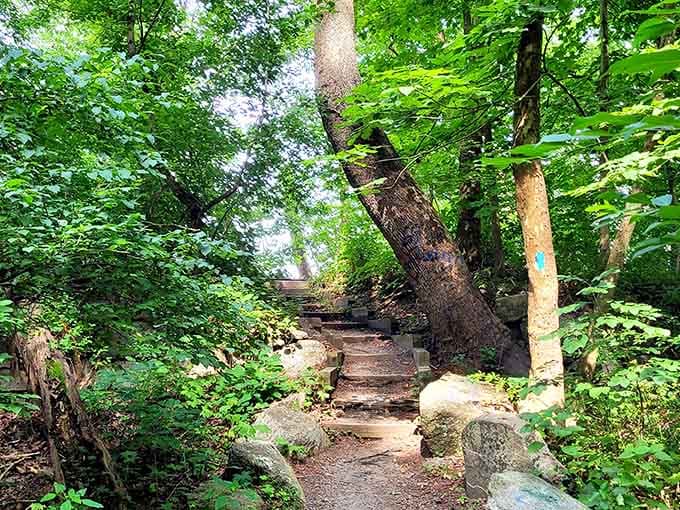 Stone steps, blue blazes, and a forest so green it almost glows. Your next adventure starts right here.