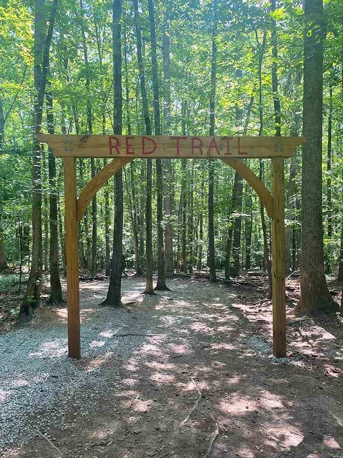 Every great adventure starts somewhere, and this wooden arch is your official invitation to begin.