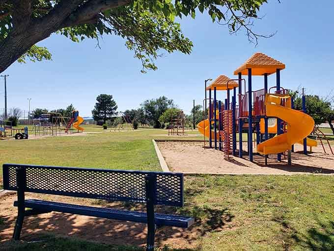 Bright playgrounds and shaded trees create the kind of childhood memories that last longer than any smartphone video.