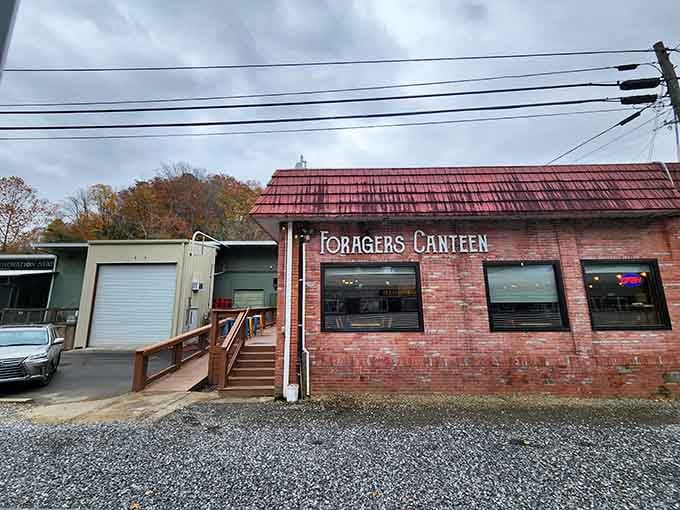 Foragers Canteen brings farm-fresh flavors to this mountain town, proving good food doesn't require a big city address.