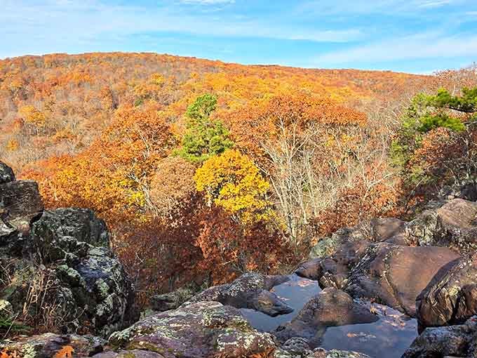 Fall arrives at Taum Sauk like it has something to prove, and honestly, it wins every single time.