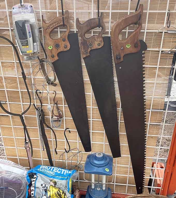 Vintage handsaws hanging proudly on display, because real tools have character that no hardware store can replicate.