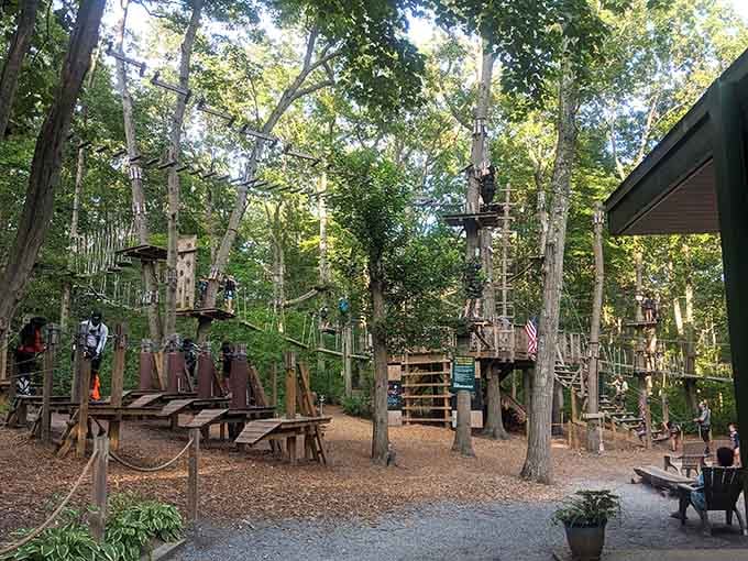 Platforms, pulleys, and pure determination. The forest has officially become your personal obstacle course.
