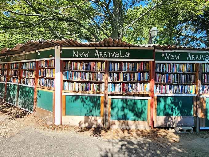New arrivals line the outdoor shelves under shady trees, fresh books waiting for curious hands.