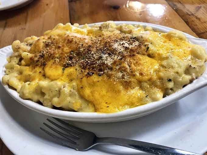 Golden, bubbling, and generously topped, this bowl of mac and cheese looks like childhood memories made edible and delicious.