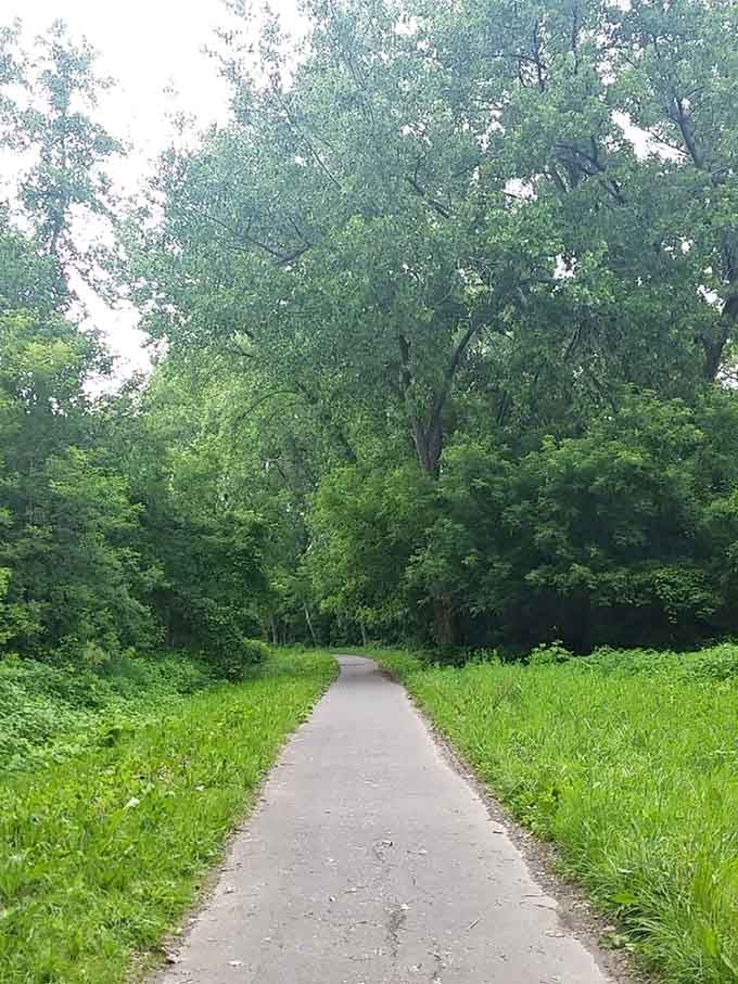 Lush green walls of trees closing in overhead make this stretch feel like the trail is giving you a warm, leafy hug.
