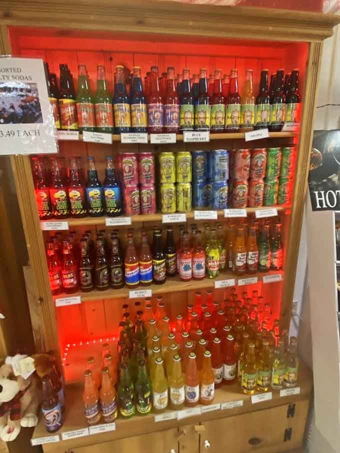 Remember when soda came in glass bottles and tasted like actual happiness? This nostalgic collection brings those memories flooding back instantly.