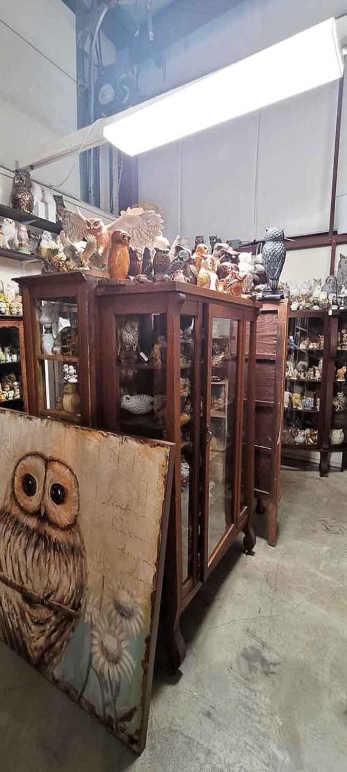 Hundreds of owl figurines watching you from every shelf, suddenly you know exactly what to get your aunt for Christmas.