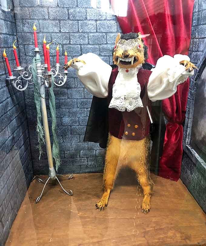 Count Squirrelula is dressed better than most people at a formal dinner. Those fangs mean business.