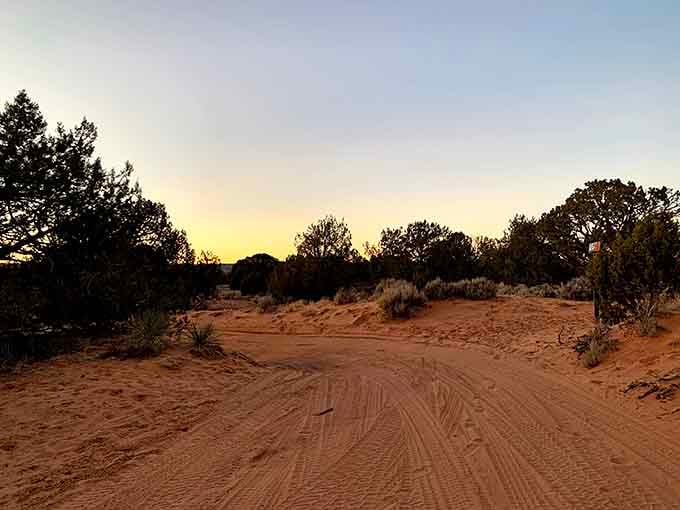 The road to The Wave at golden hour, proof that the journey really is half the adventure.