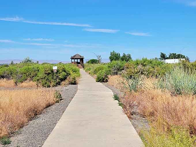 A quiet path through the Toppenish National Wildlife Refuge, where the only traffic jam involves birds.