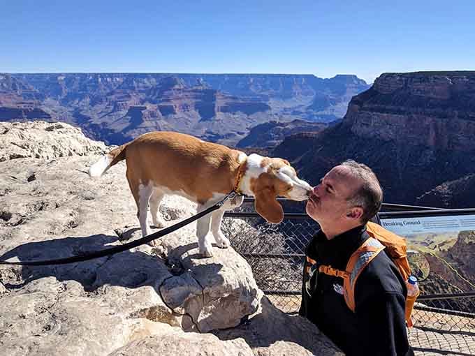 Even the dog knows this view deserves a standing ovation, or at least an enthusiastic kiss of approval.