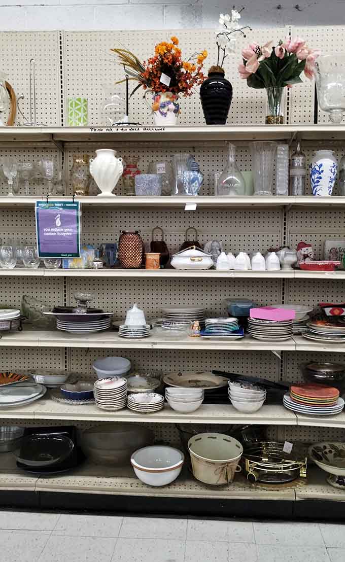 Bowls, plates, vases, and glassware stacked shelf to shelf, like a yard sale that actually organized itself.