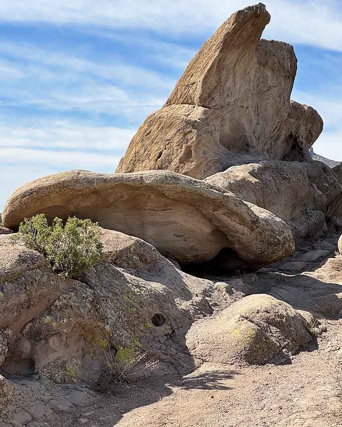 This peculiar rock formation, known as the Witch's Hat, proves nature has a flair for the theatrical.