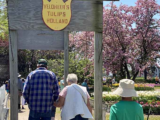 The sign says it all, and the blooming cherry tree behind it agrees completely.
