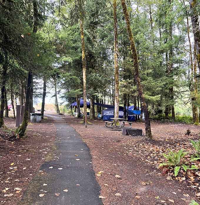 A quiet path through the trees at Vista Park, where the only traffic is falling leaves.