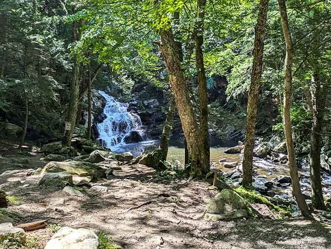 Through the trees, the falls reveal themselves like a secret worth keeping but too good not to share.