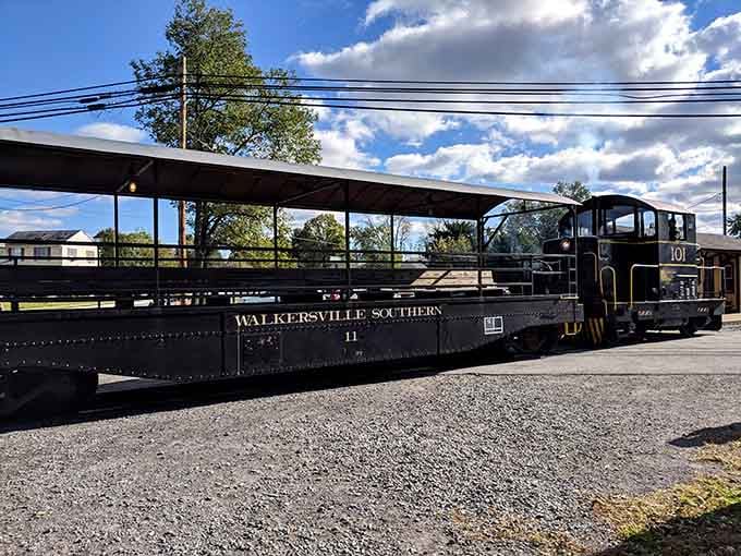 The "Walkersville Southern" lettering on car number 11 sits proudly in the sun, daring you not to smile.