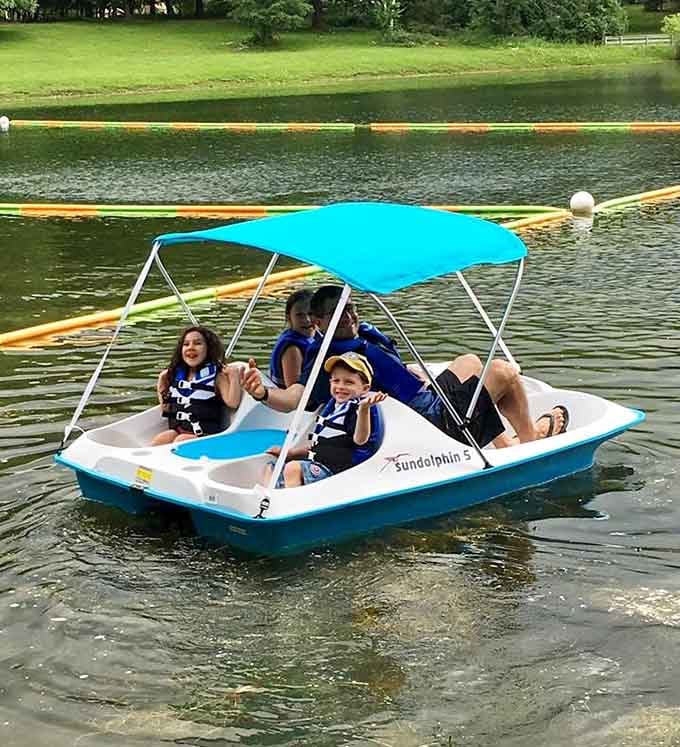 Nothing says family fun quite like a pedal boat adventure, where everyone contributes and nobody gets anywhere fast.