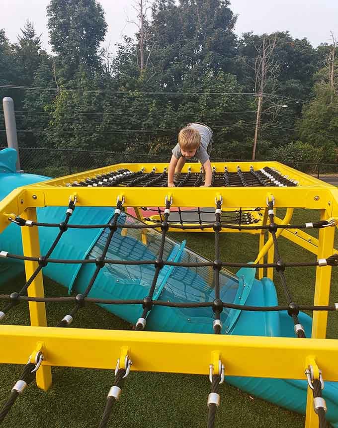 Rope nets and bright yellow frames dare little climbers to conquer every inch, one determined grip at a time.