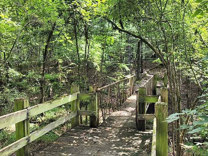 Nature trails winding through Alabama woods, where your phone signal dies but your sense of wonder comes alive.