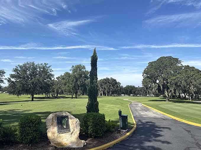 Fairways framed by ancient oaks and Florida sky. Even a bogey feels pretty good out here.