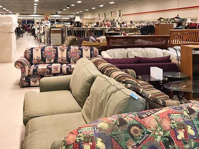 A furniture showroom where every couch has a story and none of them cost more than dinner for two.
