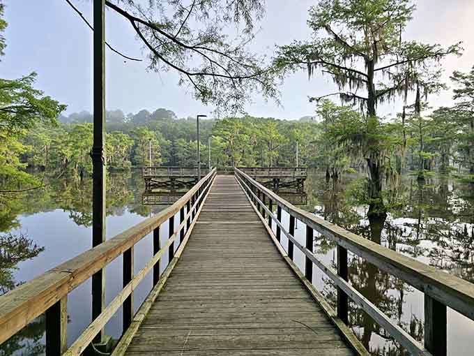Caddo Lake's misty fishing pier stretches toward cypress trees draped in Spanish moss, looking like a scene from a very relaxing dream.