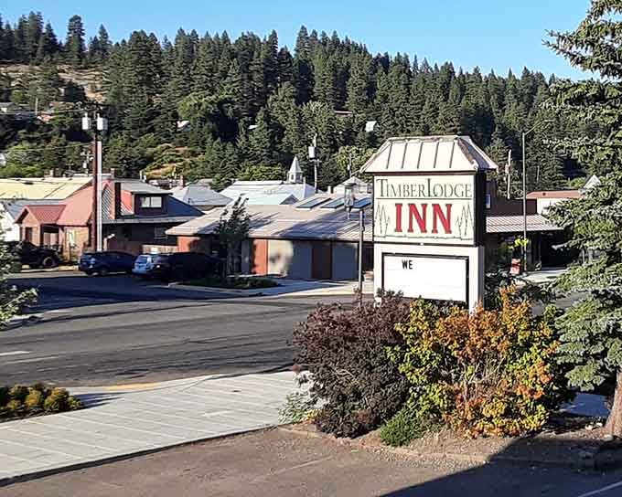 Tucked into the pines, the Timberlodge Inn sign feels like a warm handshake from Cle Elum itself.