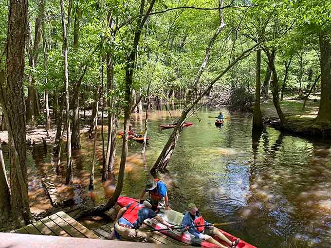 Paddlers weaving through Congaree's flooded forest look like they've discovered a secret world tucked just outside of Columbia.