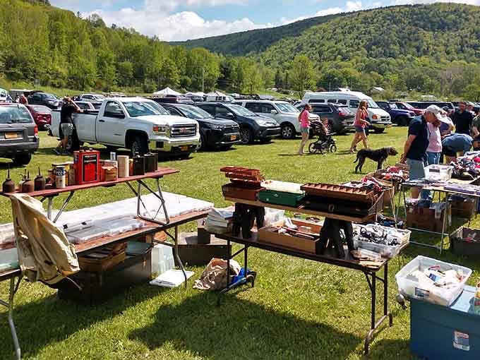 Rolling green hills frame this Catskills gem, where fresh air and good finds come standard.