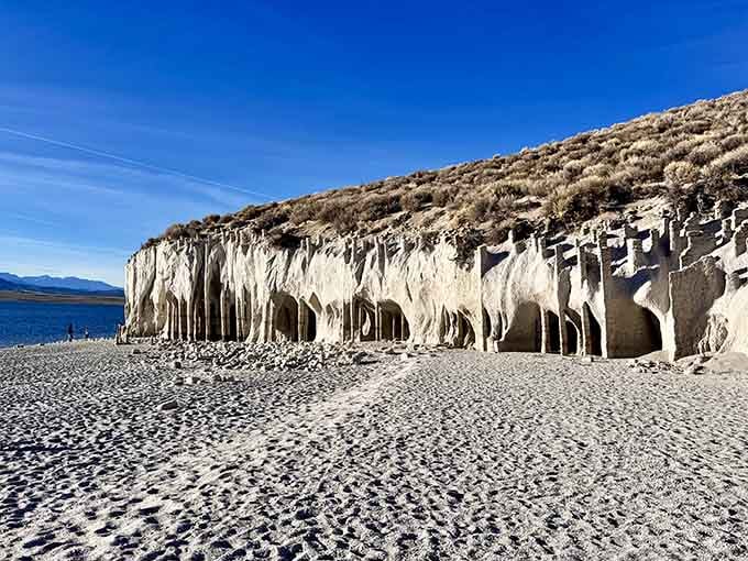Nature's sculptures dripping along the shoreline look like frozen waterfalls that forgot to melt.