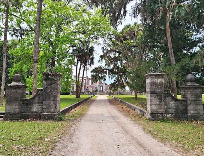 The grand entrance with its moss-draped oaks and weathered pillars whispers stories of Southern history and simpler times.