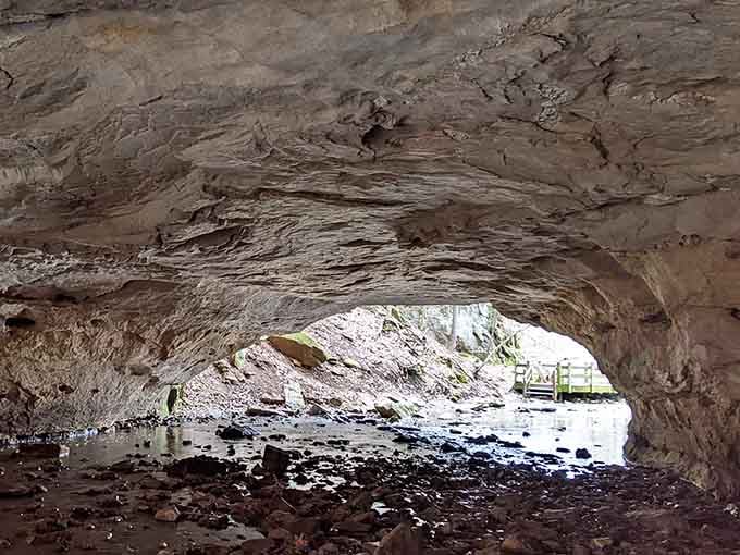 The swirling sandstone ceiling of Devil's Icebox cave frames a wooden footbridge beyond, like nature built its own dramatic theater entrance.