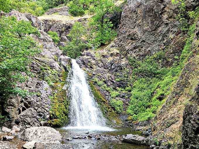 Water carves through narrow canyon walls, dropping into a rocky gorge that echoes with the sound of power.
