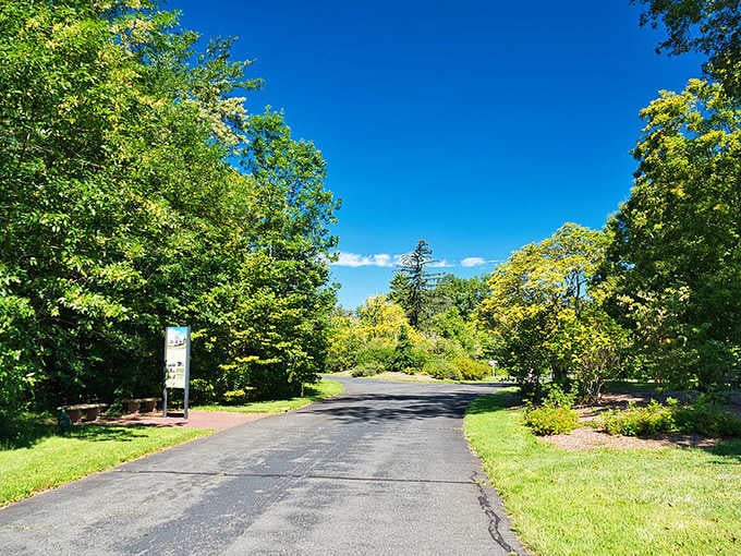 Tree-lined and gloriously unhurried, this winding entrance road sets the tone before you've even parked the car.