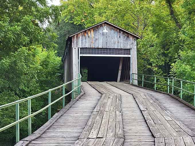 Those worn wooden planks have carried countless travelers across the creek, each board telling stories without saying a word.
