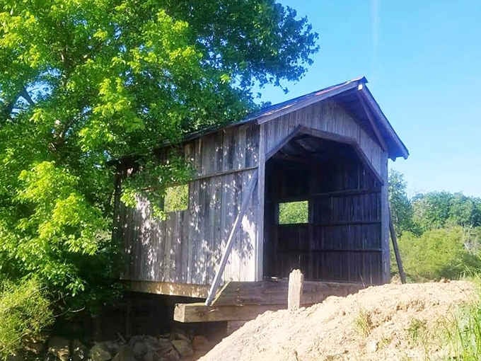 Bright summer trees wrap around Kimesville Bridge like nature decided to give history a warm hug.