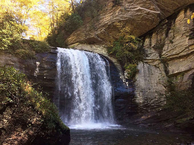 Autumn gold frames Looking Glass Falls perfectly, like nature hired its own interior decorator for the season.