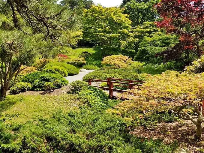Carefully sculpted greenery and a red bridge create a scene so serene you'll swear you've been transported to Kyoto.