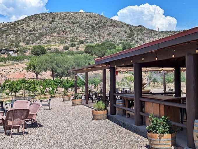 A covered outdoor bar, barrel planters, and a hillside vineyard backdrop &mdash; this is Arizona wine country at its finest.