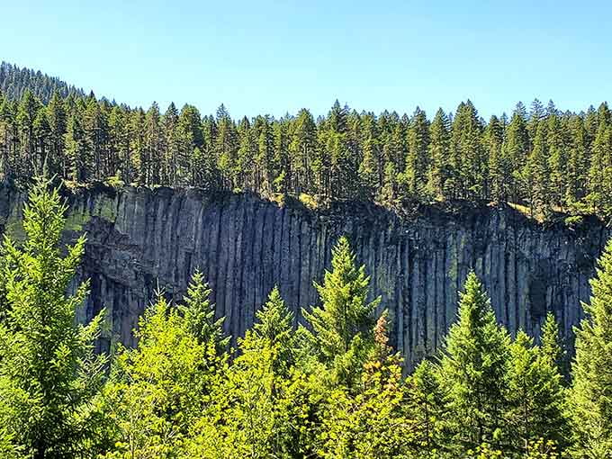Ancient volcanic columns standing at attention like nature's own version of Stonehenge, only taller and considerably more dramatic.